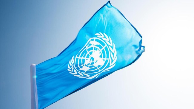 Tingkat Kesuburan Rendah Dorong Penurunan Populasi Global, Menurut PBB ...