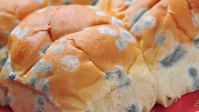 Pentingnya Menghindari Roti Berjamur untuk Kesehatan - FATIVA.id