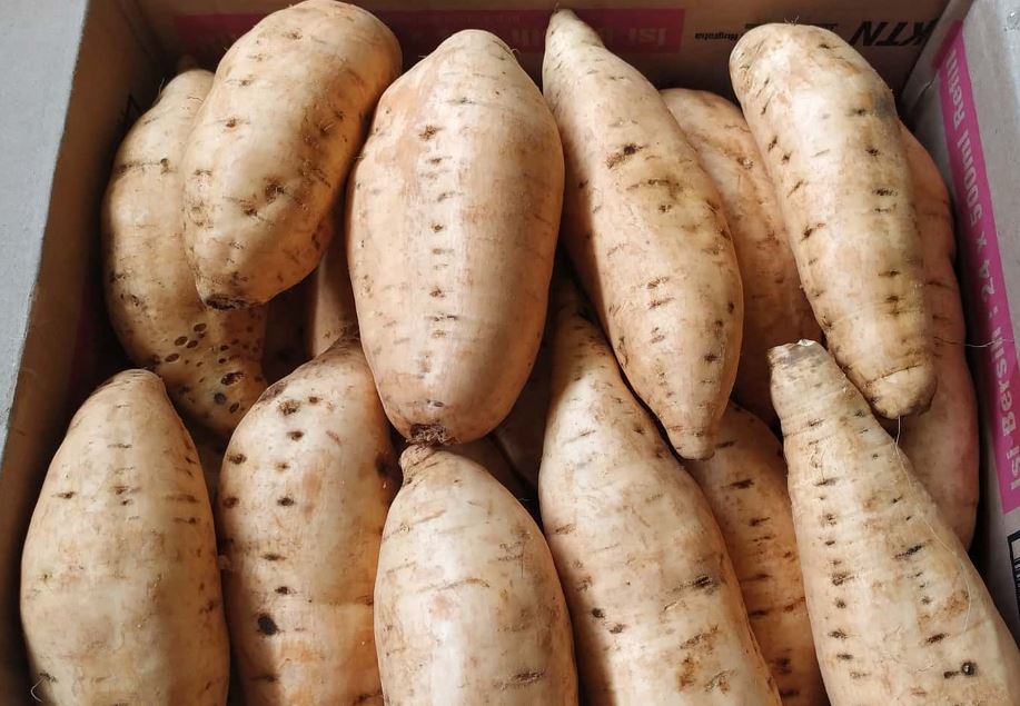 Manfaat Ubi Cilembu, Karbohidrat Tinggi dan Sehat untuk Diet - FATIVA.id