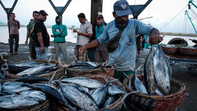 Pilihan Ikan Kaya Kalsium untuk Menunjang Kesehatan Tulang dan Gigi ...